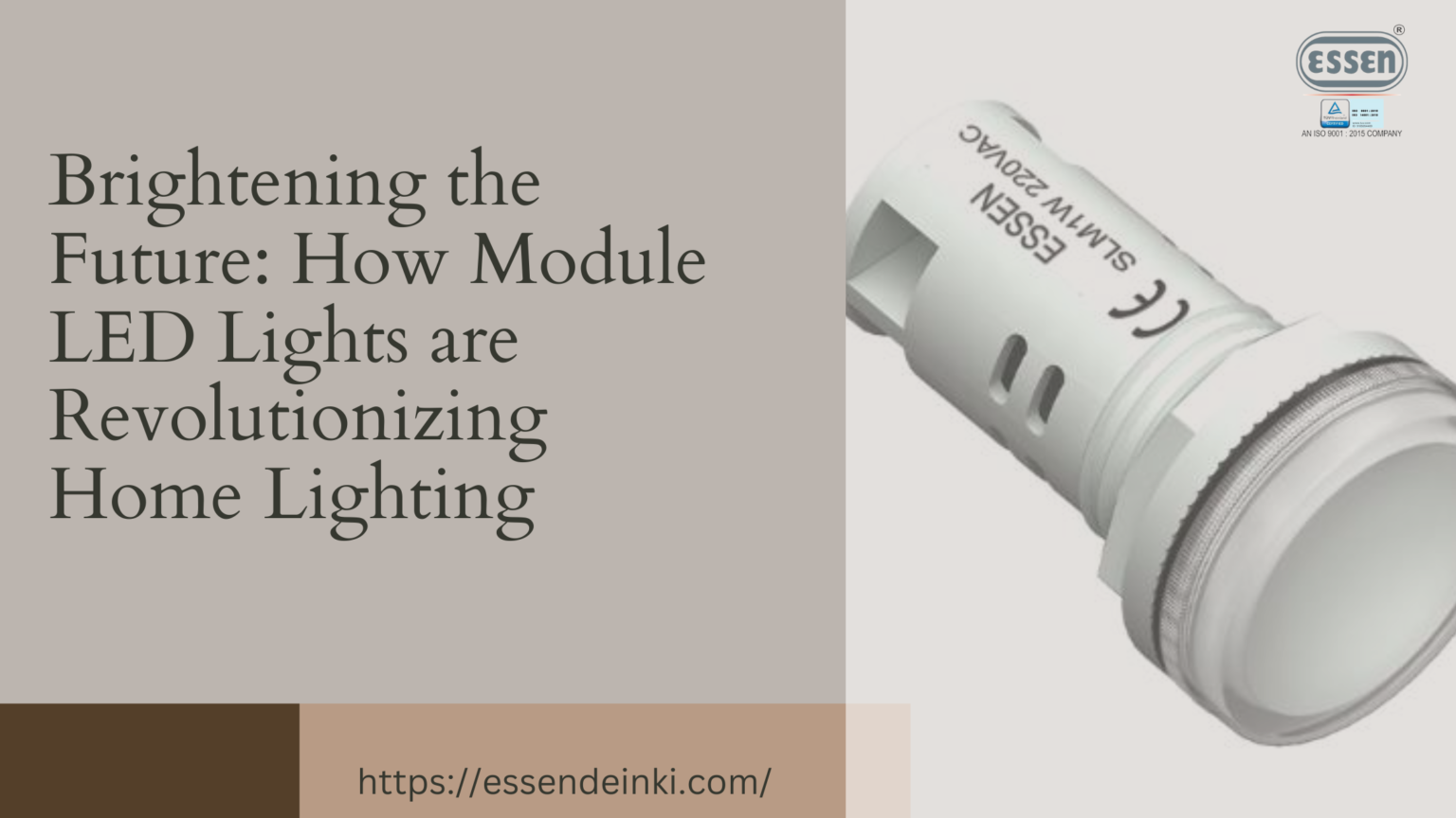 Brightening the Future with Module LED Lights | Essen Deinki