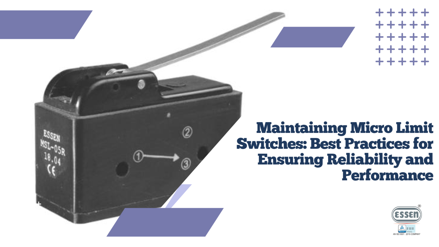 Micro Limit Switches Maintenance Guide | Essen Deinki
